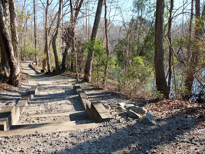 These rustic steps aren't just a trail feature &ndash; they're nature's stairway to heaven, guiding explorers through the riverside wilderness.