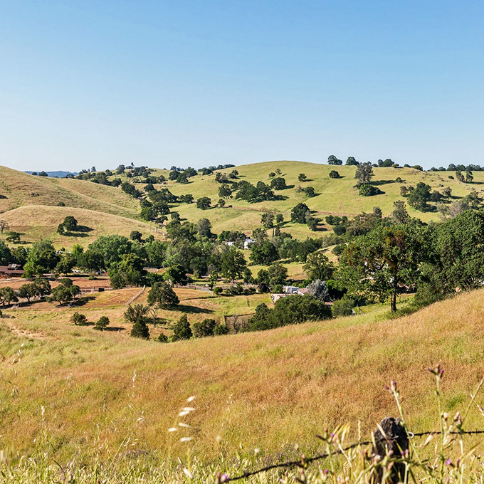 Golden hills dotted with ancient oaks&mdash;the backdrop to Amador's story hasn't changed much since the first miners arrived.