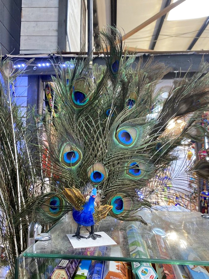 An ornate peacock perched proudly in a display case, because why shouldn't your shopping trip include exotic elegance?