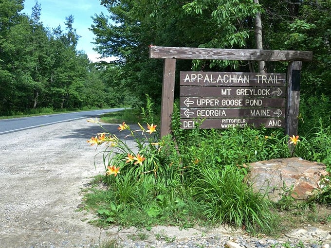 The Appalachian Trail sign: where you momentarily consider abandoning your responsibilities and walking to Maine. We've all been there.