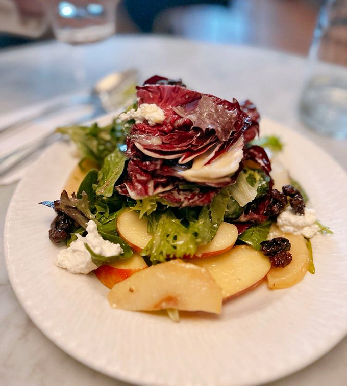 A salad that defies expectations &ndash; crisp greens, apple slices, and creamy cheese create a symphony of textures that even salad skeptics can't resist.