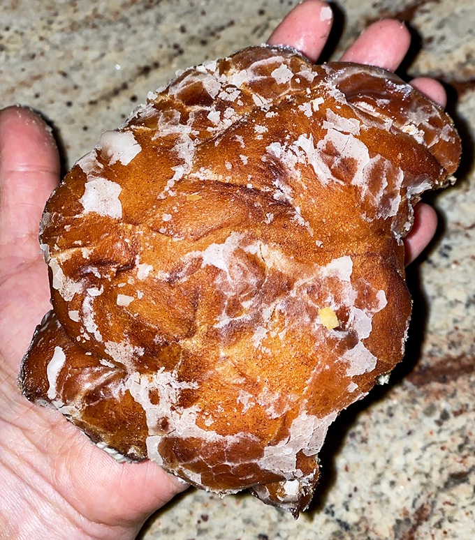 That apple fritter's got more texture than a geology textbook and tastes approximately one million times better than actual rocks.