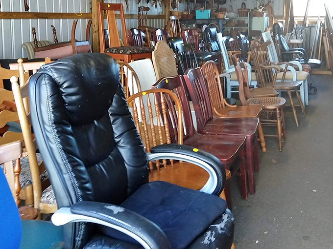 Musical chairs never looked so inviting – each one with its own personality and story.