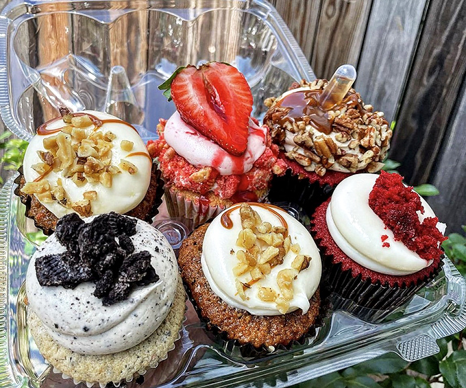 A cupcake collection so photogenic it deserves its own Instagram account and talent agent.