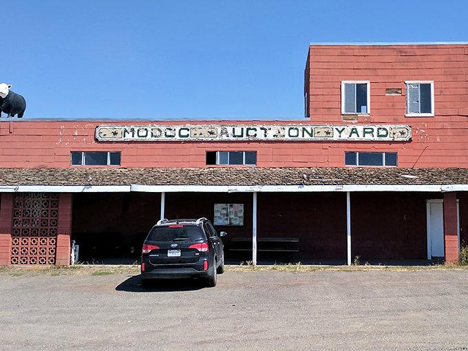 The Modoc Auction Yard&mdash;where rural tradition meets commerce. That weathered sign has witnessed more handshake deals than most corporate boardrooms ever will.