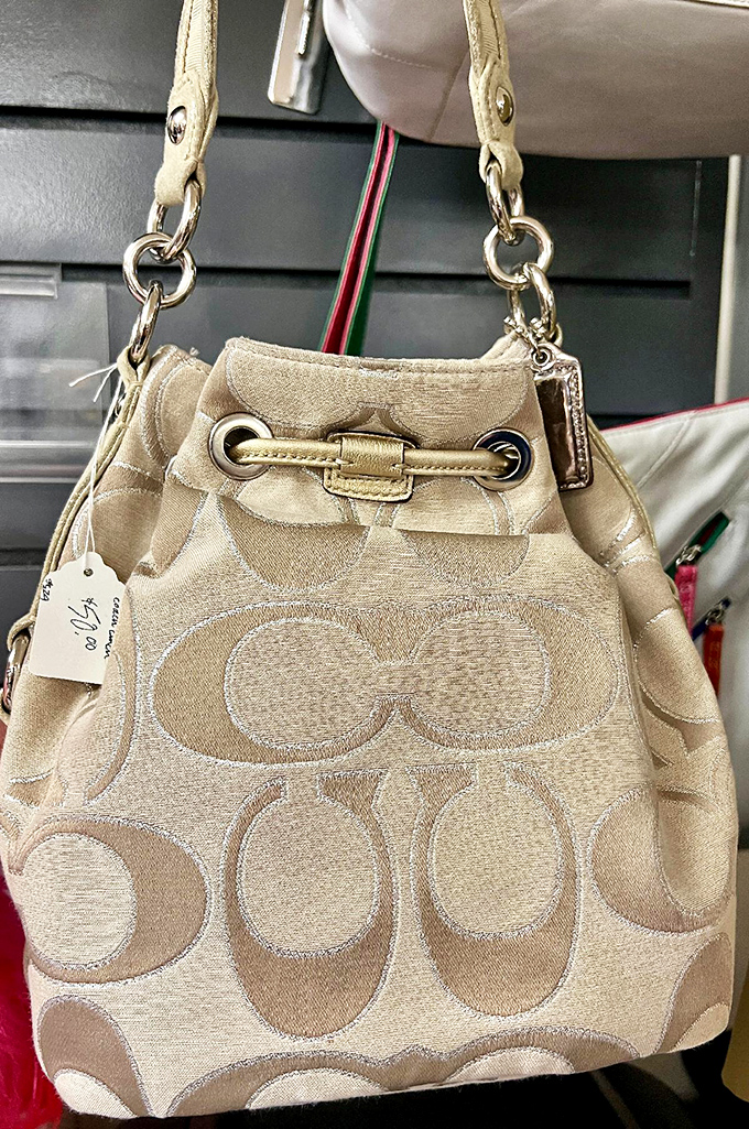 Designer bags without designer financial guilt. This Coach beauty is ready for its second act&mdash;like a Hollywood comeback story, but for accessories.