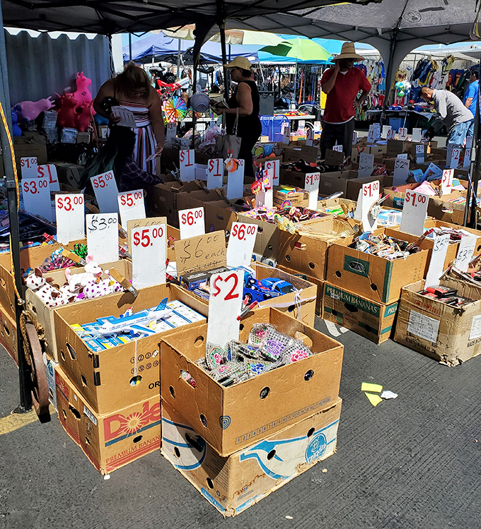 Dollar store prices with yard sale charm&mdash;these boxes of miscellany are where impulse purchases are born and budgets go to die.