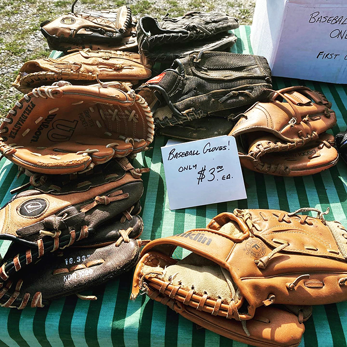 Baseball gloves with character. Each one tells a story of summer afternoons, missed catches, and that one perfect game-winning grab.