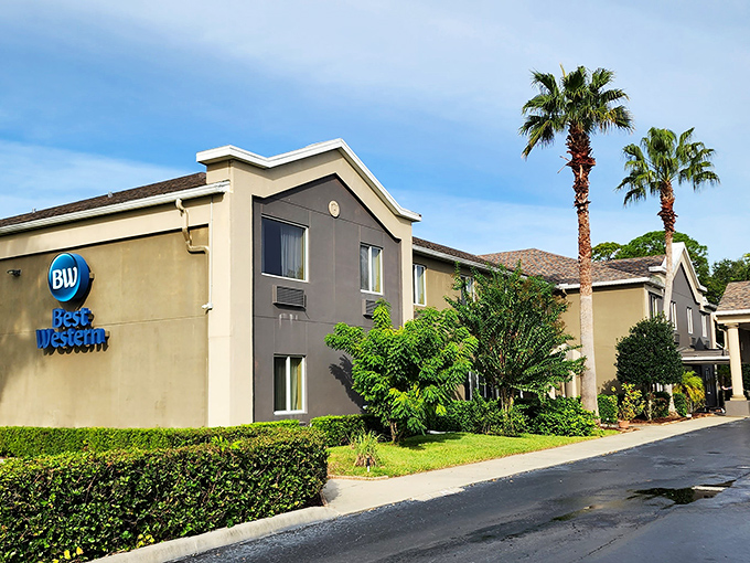 Lodging options that won't require you to choose between vacation and eating for the next six months.