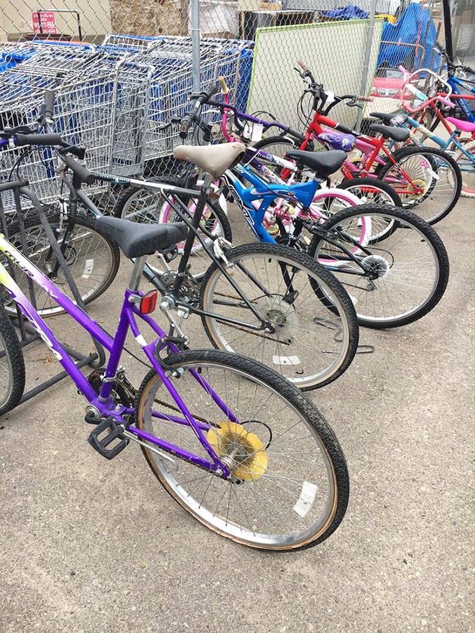 A rainbow of bicycles awaits new adventures. From purple mountain bikes to pink training wheels, your next two-wheeled companion is probably here.