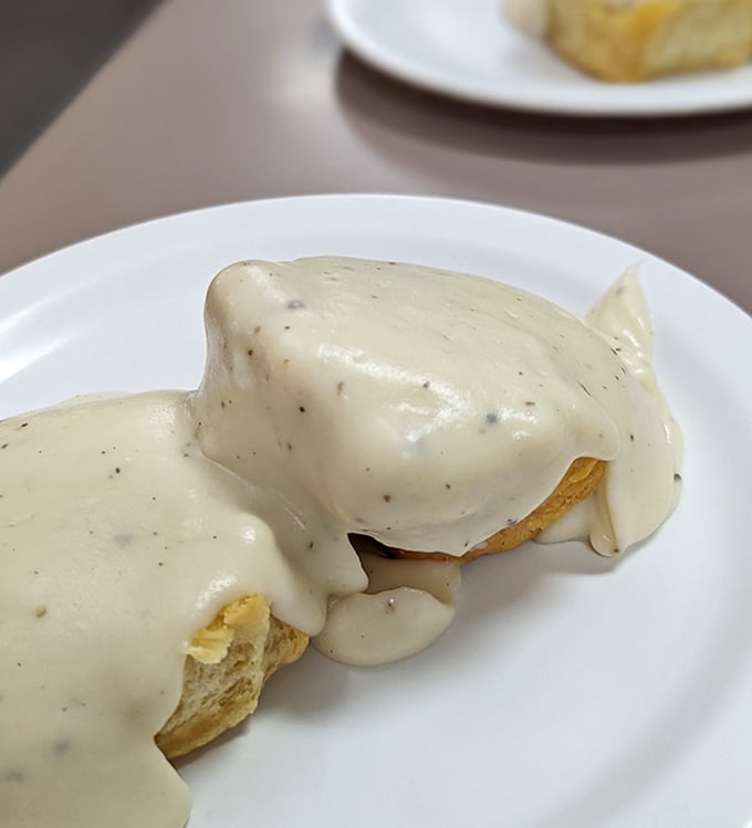 The breakfast spread at Harry's is a morning symphony. Those biscuits and gravy could make a grown person weep with joy.