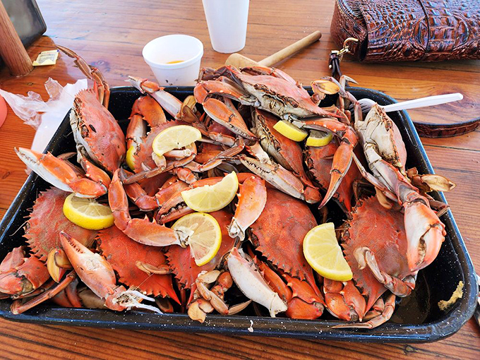 Blue crab heaven! These Carolina beauties, adorned with lemon wedges, are nature's way of saying "roll up your sleeves and get messy."