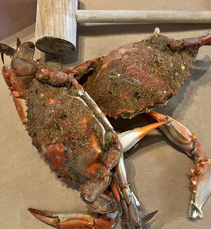 Blue crabs wearing their Old Bay tuxedos – Maryland's answer to formal dining. Formal for the crabs, delightfully messy for you.