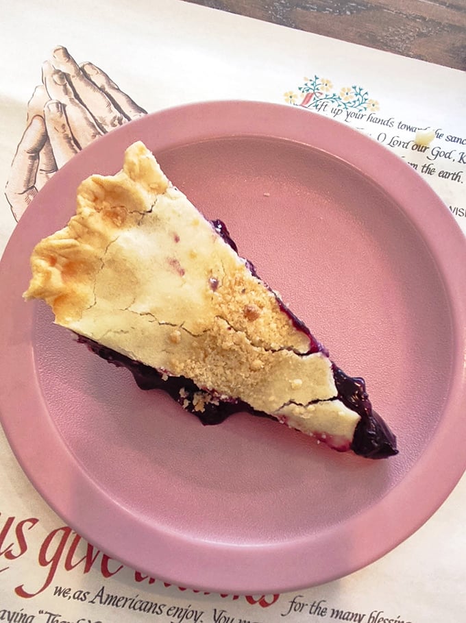 Blueberry pie that captures summer in every bite. The crust-to-filling relationship here is healthier than most Hollywood marriages.