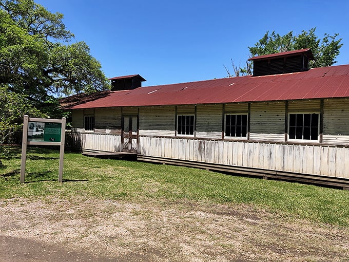 This weathered boathouse has seen more Louisiana seasons than most of us have seen Netflix series &ndash; and it's aged considerably better.