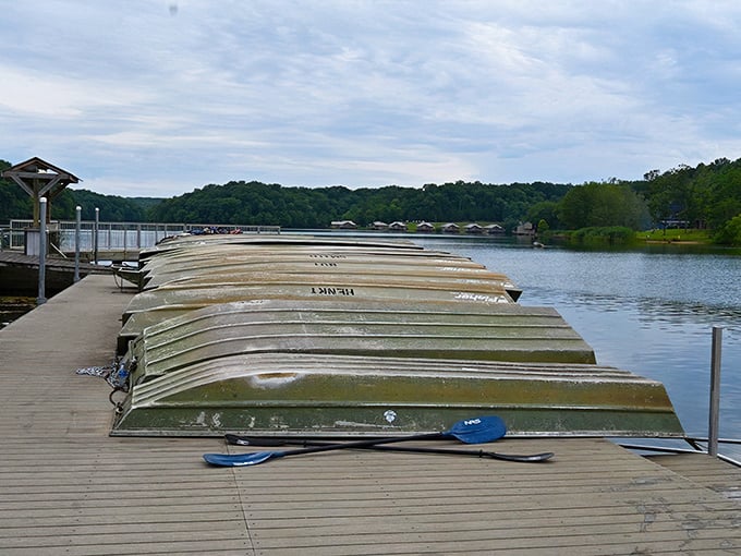 Row, row, row your boat... or just admire the neat lineup of rentals waiting patiently for visitors to explore the lake's hidden coves.