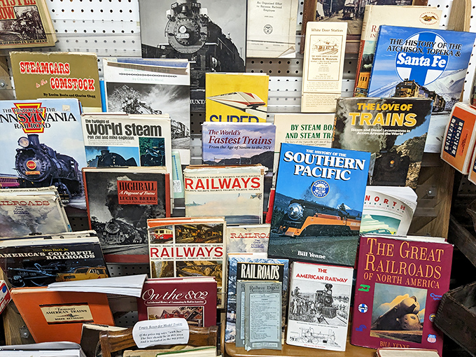 For train enthusiasts, this collection of railway books is the literary equivalent of finding the Holy Grail.