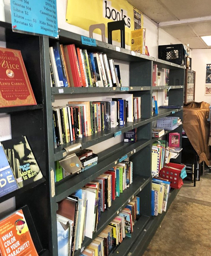 The book section rivals many small-town libraries, offering everything from annotated classics to that cookbook your grandmother swore by.