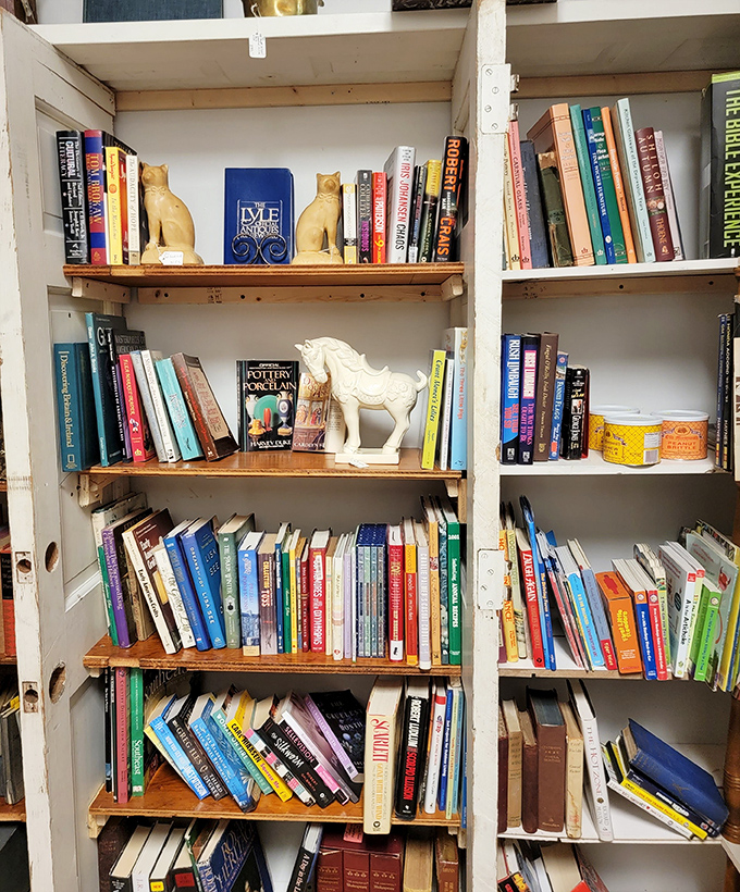 Literary adventures from every decade create the perfect browsing sanctuary for book lovers everywhere.