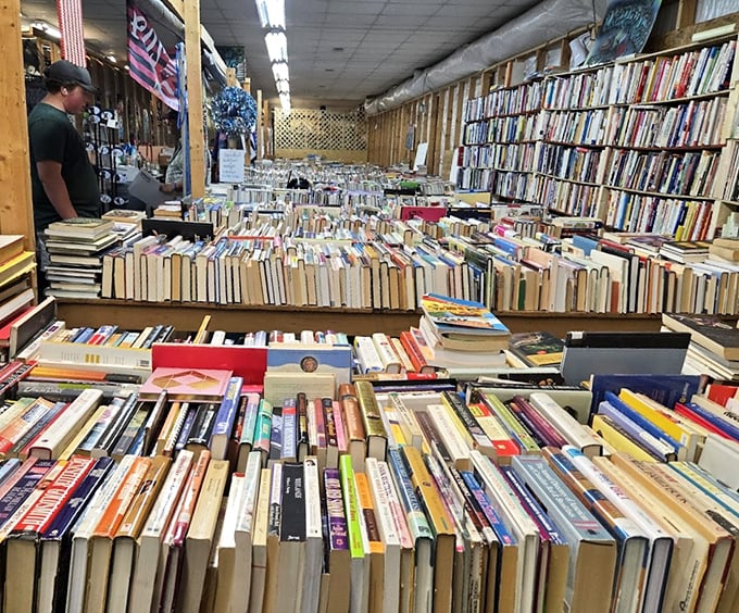 The bibliophile's dream come true. More books than your Kindle could ever hold, with that irreplaceable old-paper smell thrown in for free.