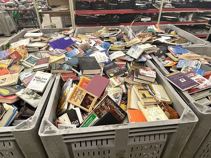 Books pile high in bins, waiting for readers to rescue them from literary limbo at unbeatable prices.
