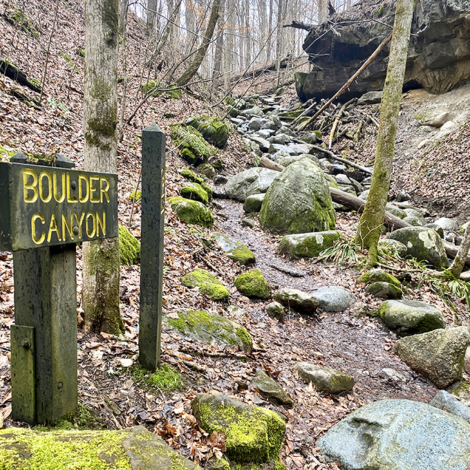 Boulder Canyon's trail sign might as well read "Prepare Your Knees" &ndash; nature's obstacle course awaits with rocks of all persuasions.
