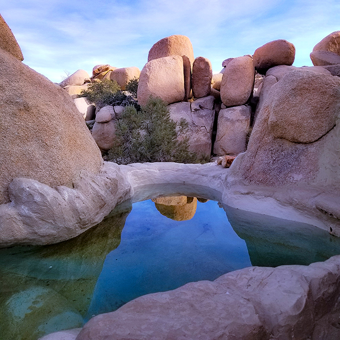 Mother Nature's infinity pool—these natural water formations among the boulders create desert oases that feel like finding treasure in the wilderness.