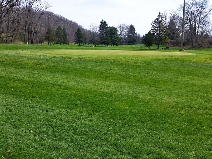 Brandywine Golf Course offers a surprisingly serene escape, where your biggest worry is whether your slice will find more trees than fairway.