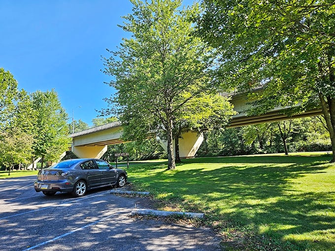 Autumn's paintbrush transforms ordinary trees into a masterpiece of color. Mother Nature showing off her seasonal wardrobe change.