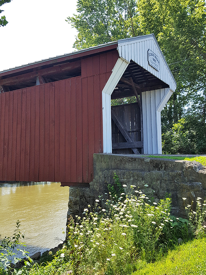 From this angle, you can appreciate how the bridge's red exterior perfectly complements the lush greenery surrounding the Great Miami River.