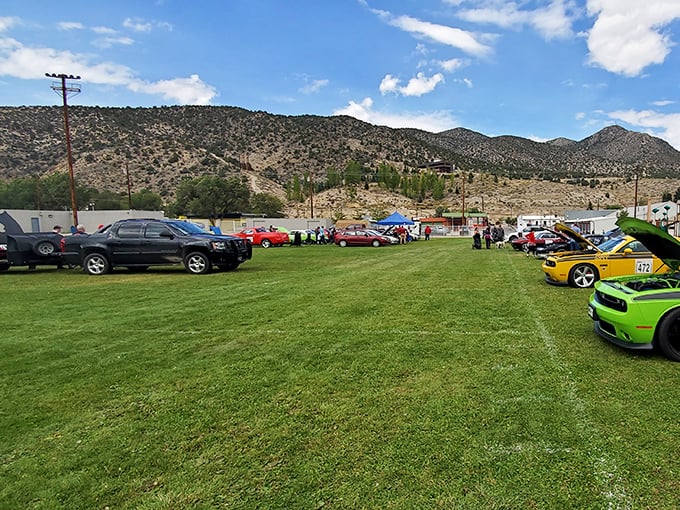 Classic cars gather on green grass beneath mountain backdrops, where enthusiasts share stories without needing WiFi to connect properly.