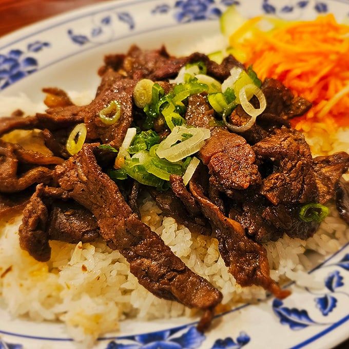 Caramelized beef resting on a bed of rice, topped with scallions. Simple perfection that speaks volumes without saying a word.