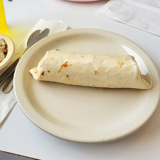 A perfectly rolled burrito sitting in dignified solitude, like it knows it contains secrets worth discovering with every bite.