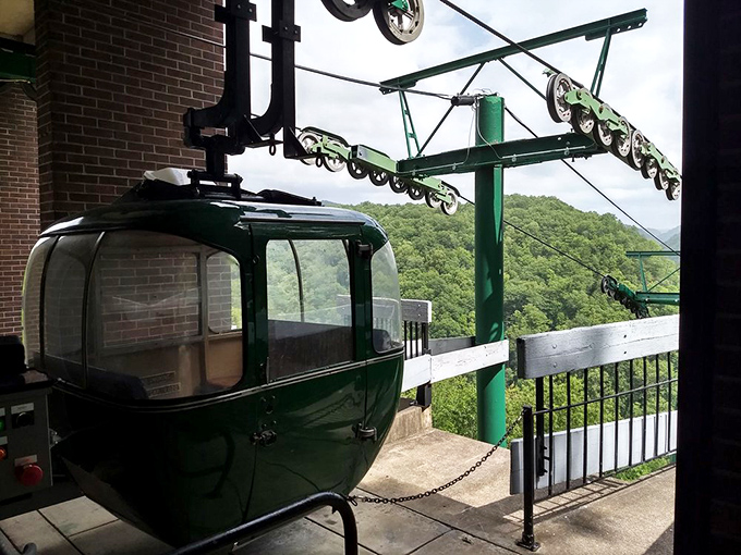 Going down? The park's aerial tramway whisks visitors 876 feet down to the river in vintage gondolas that feel like time machines to a simpler era.