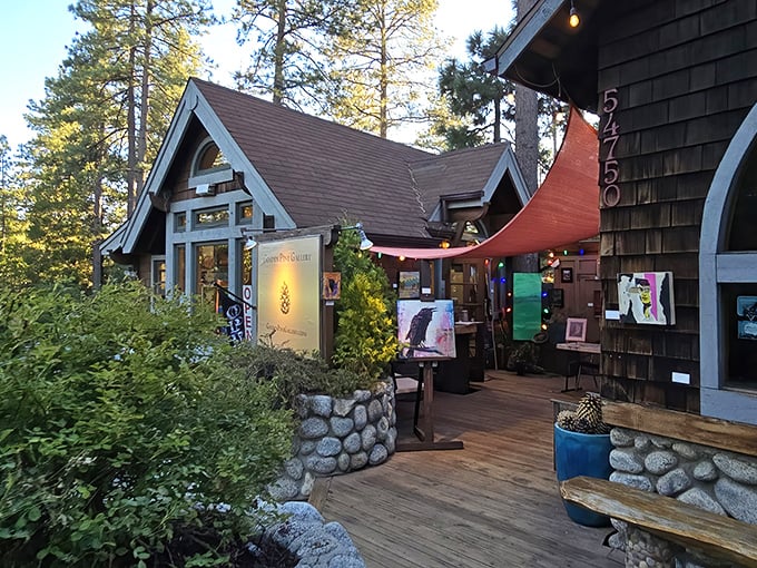 Café Aroma serves up mountain-inspired cuisine with a side of artistic ambiance. The kind of porch where coffee and conversation flow equally well.