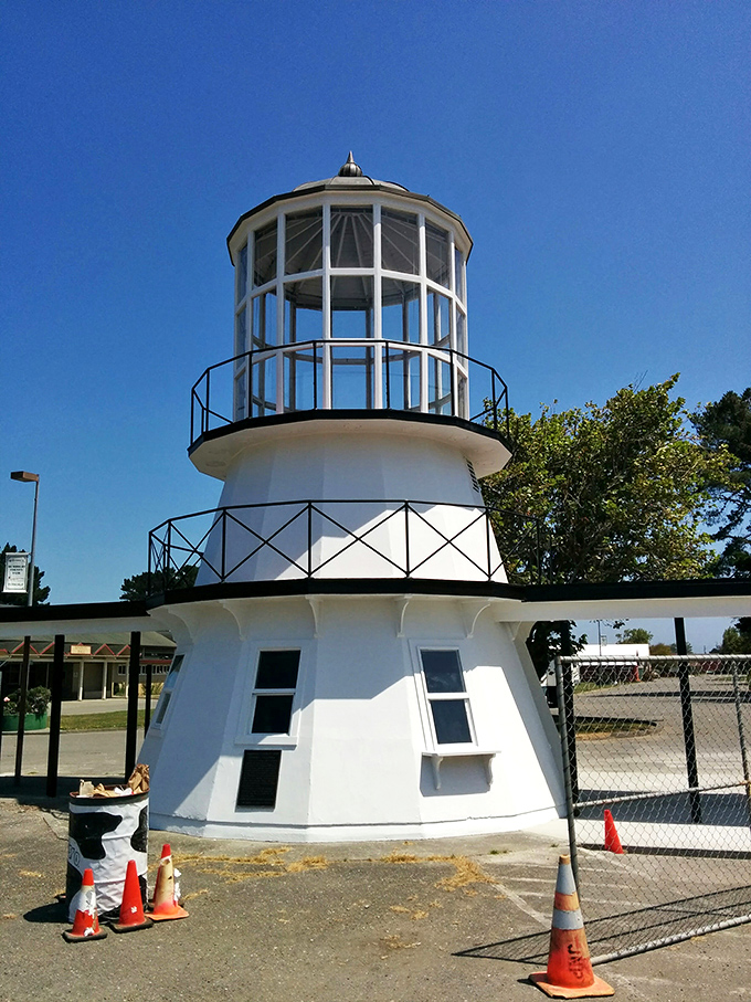 This lighthouse lens once guided ships safely to shore; now it guides tourists safely to their next Instagram post. Maritime history never looked so photogenic.