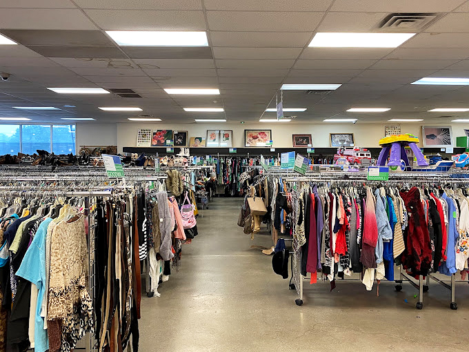 Carefully curated chaos is the name of the game, where organization meets serendipity in this thrifter's playground.