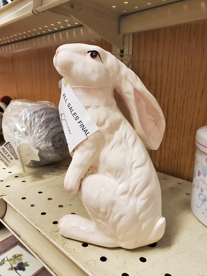 This porcelain rabbit, tagged "ALL SALES FINAL," silently judges your other purchases while contemplating his next home.