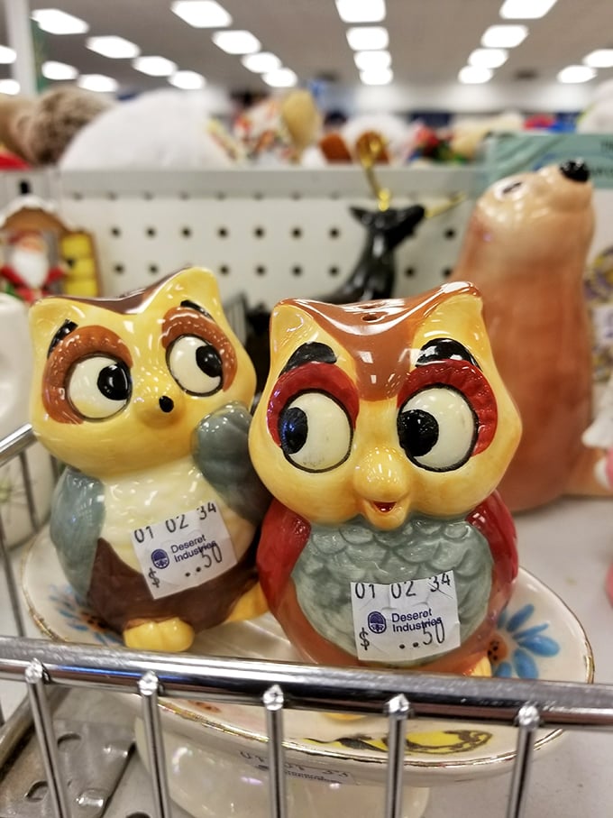These ceramic owls aren't judging your purchase decisions... actually, yes they are, but they're coming home with you anyway.
