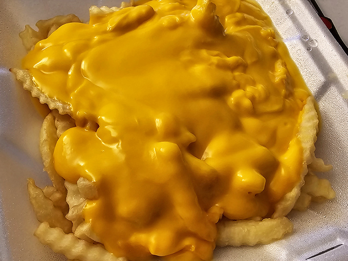 These cheese fries aren't just a side dish&mdash;they're a commitment. That molten yellow blanket of cheese doesn't mess around.