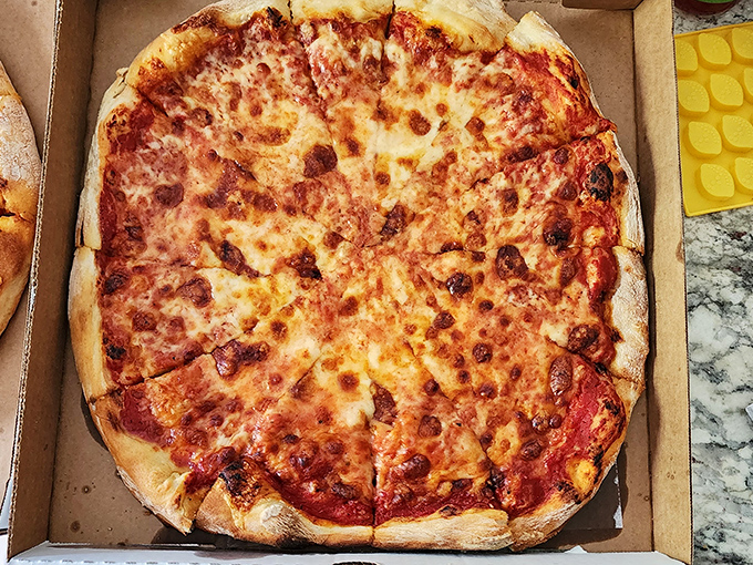 The classic cheese pizza that launched a thousand arguments about New York versus Pittsburgh style. That golden-brown crust edge deserves its own fan club