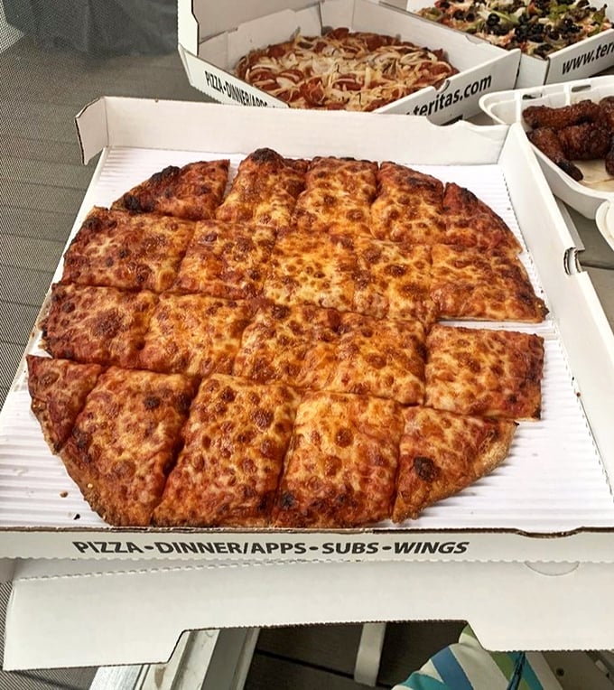 The cheese pizza showcases Terita's philosophy: perfect the basics first. That golden-brown crust and bubbling cheese need no embellishment to shine.