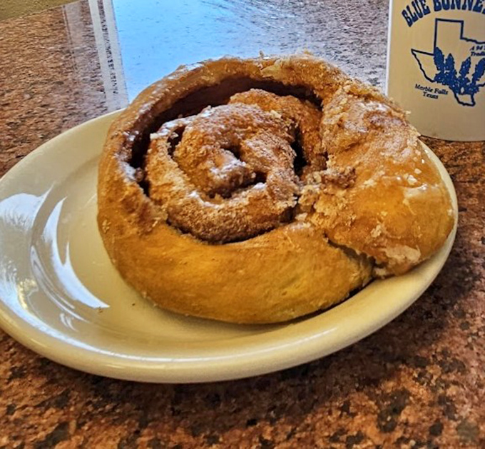This cinnamon roll doesn't just arrive at your table&mdash;it makes an entrance. Dusted with powdered sugar and big enough to have its own ZIP code.