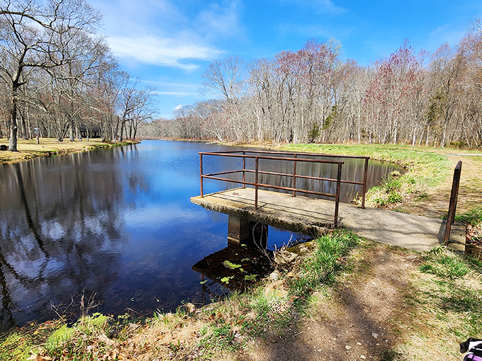 This little bridge at Clark Community Park isn't asking for Instagram fame&mdash;it's just quietly offering the perfect spot for contemplating life's big questions or small ducks.