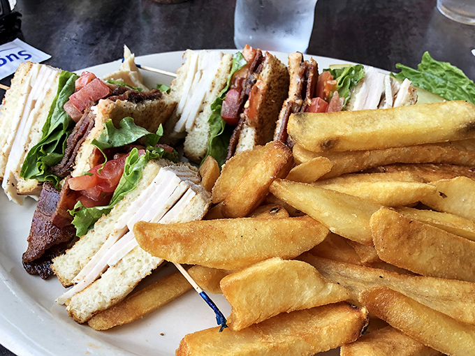 The club sandwich: architectural marvel of the lunch menu. Triple-decker construction with crispy fries standing guard like delicious potato soldiers.