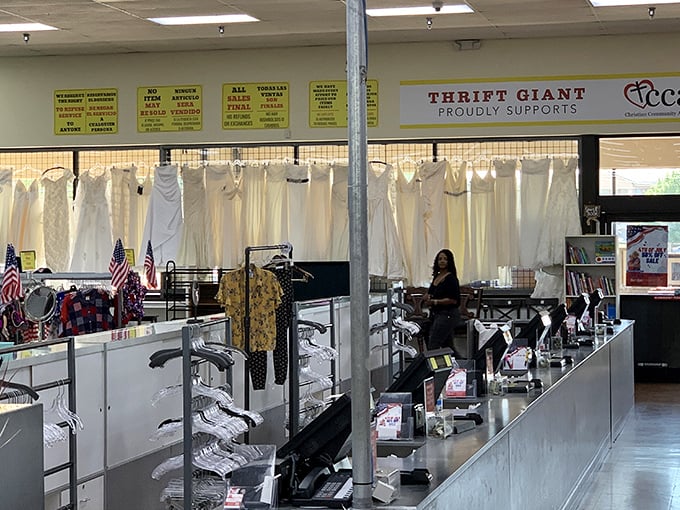 Behind the counter, where transactions transform "someone else's stuff" into "your amazing find" with the swipe of a card.