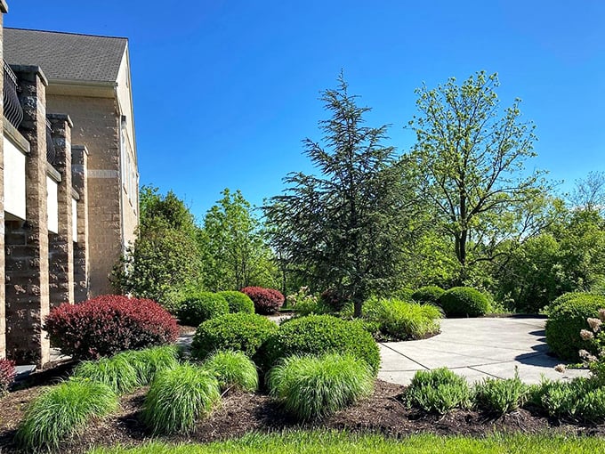 Landscaping that makes you wonder if Mother Nature moonlights as an interior decorator. Even the shrubs look like they've found their purpose.