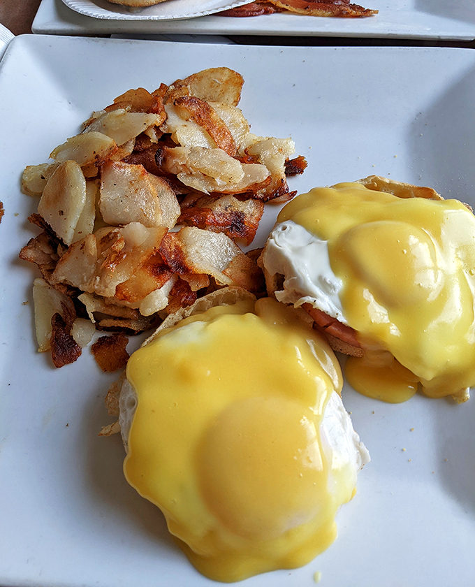 The hollandaise sauce cascades like a golden waterfall over these Benedicts, transforming ordinary English muffins into thrones for poached egg royalty.