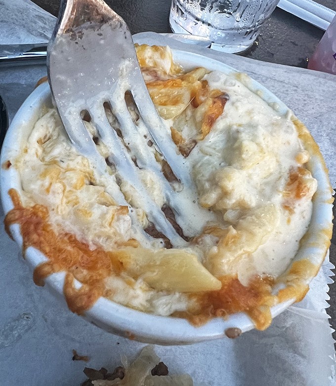 Creamy decadence that makes you forget your table manners. This bubbling crab mac and cheese demands a moment of silent appreciation before diving in fork-first.