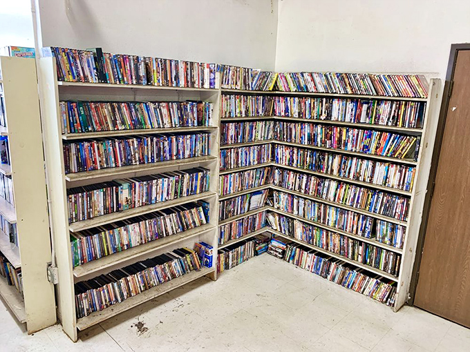 The DVD collection rivals old-school Blockbuster, minus the late fees. Physical media lives on in this digital detox paradise.